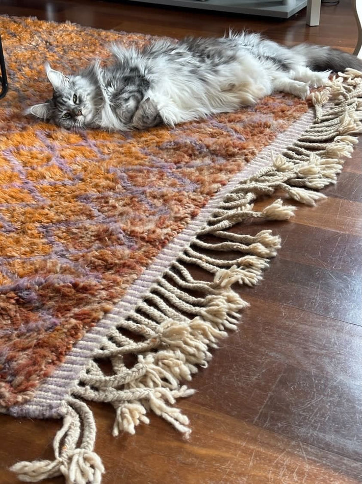 Tree of Colors in your homes